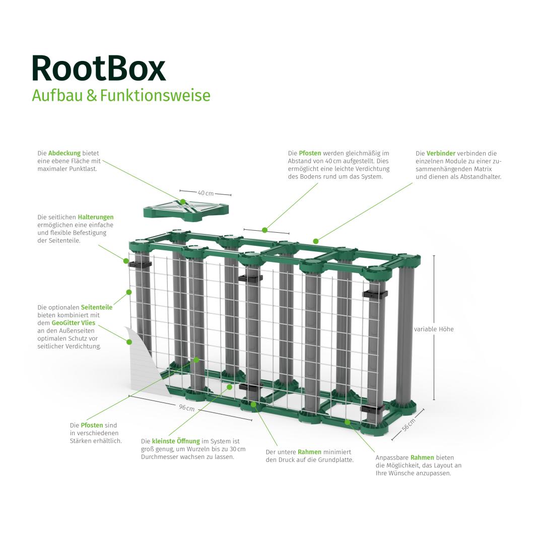 RootBox | Greenleaf